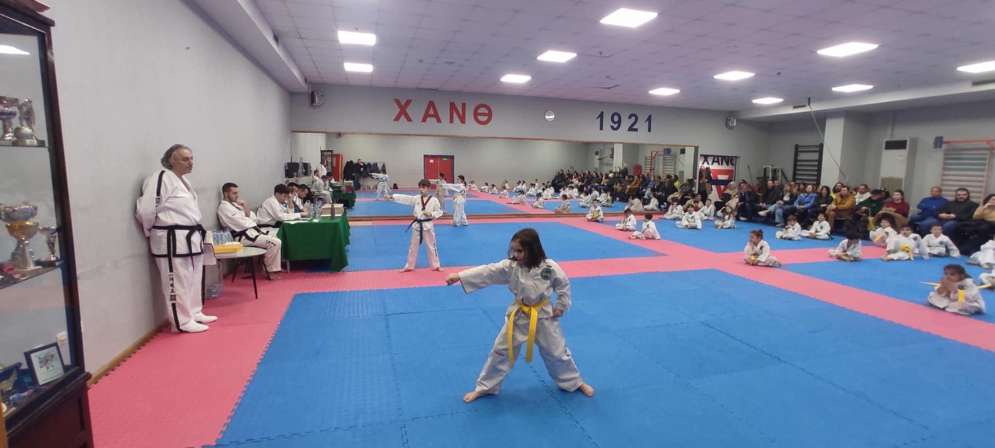Μια αξιέπαινη πρωτοβουλία του Taekwon Do της Χ.Α.Ν.Θ. – 30 σακούλες ...